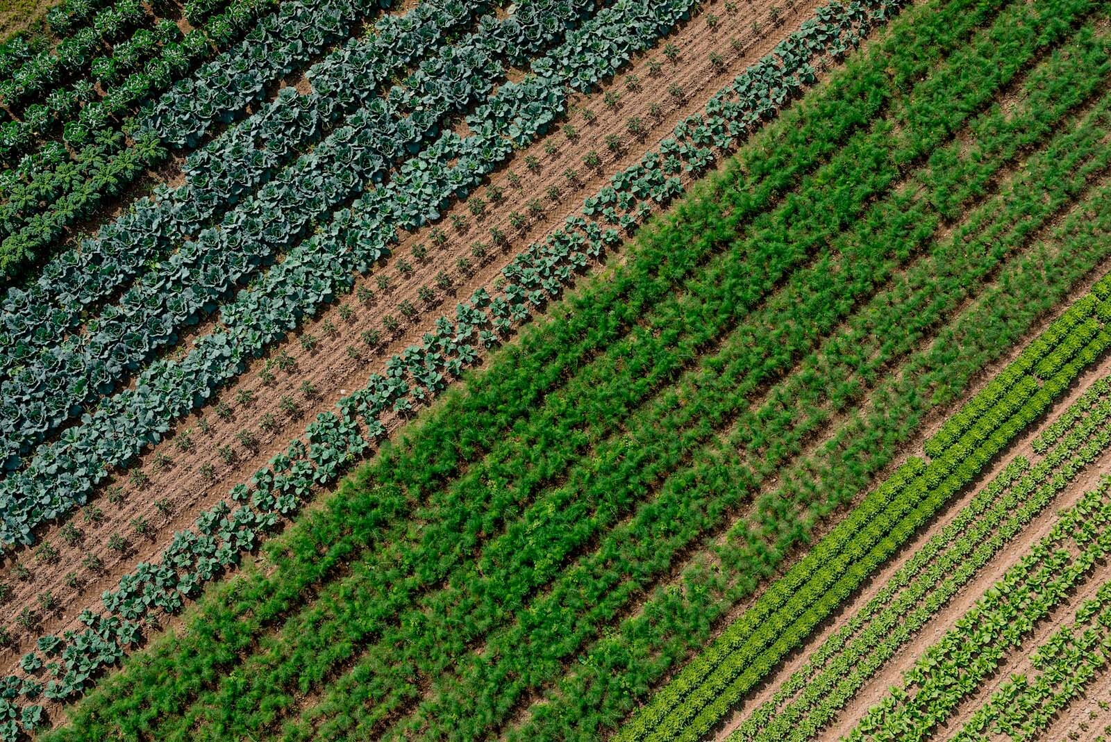 Swiss Farmers | Find a farm in your region